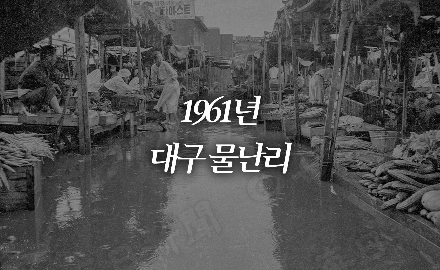 1961년 대구 물난리